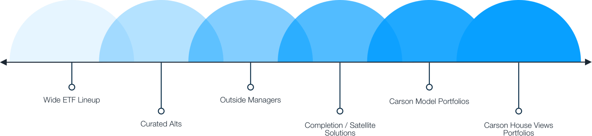Financial Advisor Investment Services | Carson Group